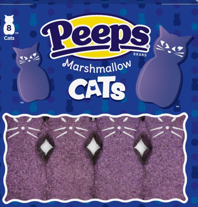 Spooky Foods & Halloween Decor Ideas